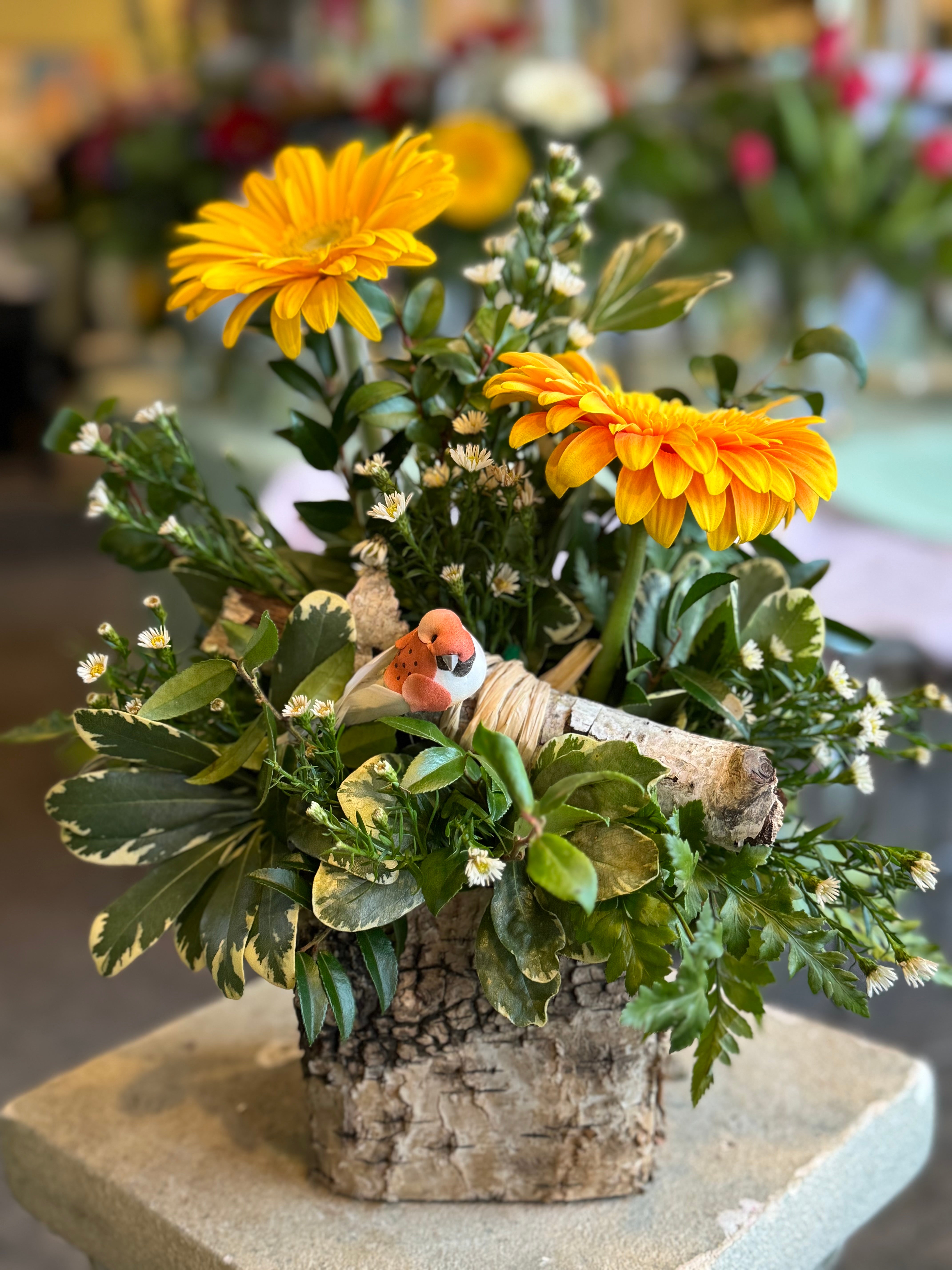 Bird & Birch – The Flower Station